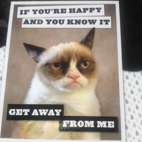Grumpy Cat Other Grumpy Cat Book A Grumpy Book Mbr Poshmark